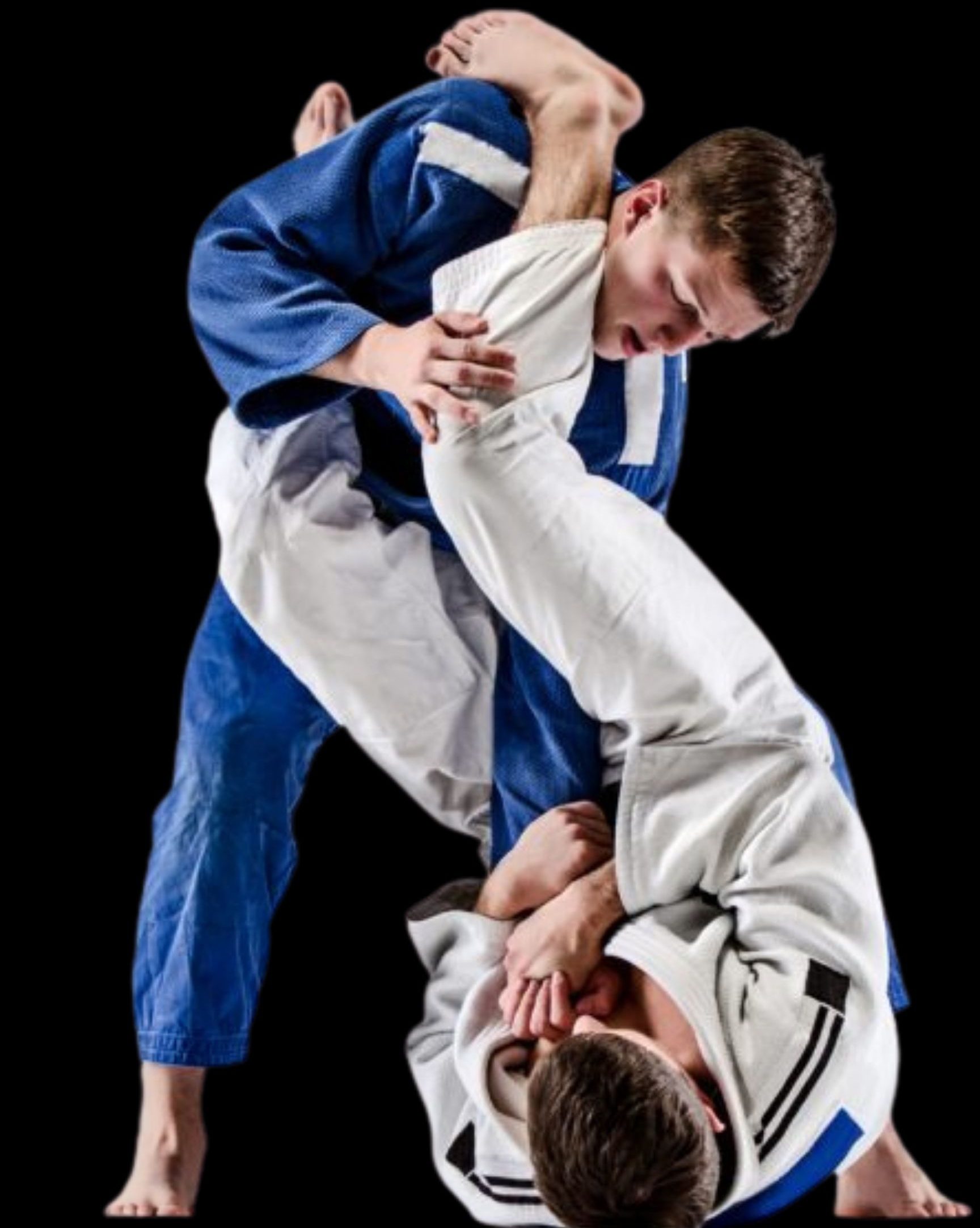 Adults BJJ – Jiu Jitsu for Kids, Homeschool, Adults